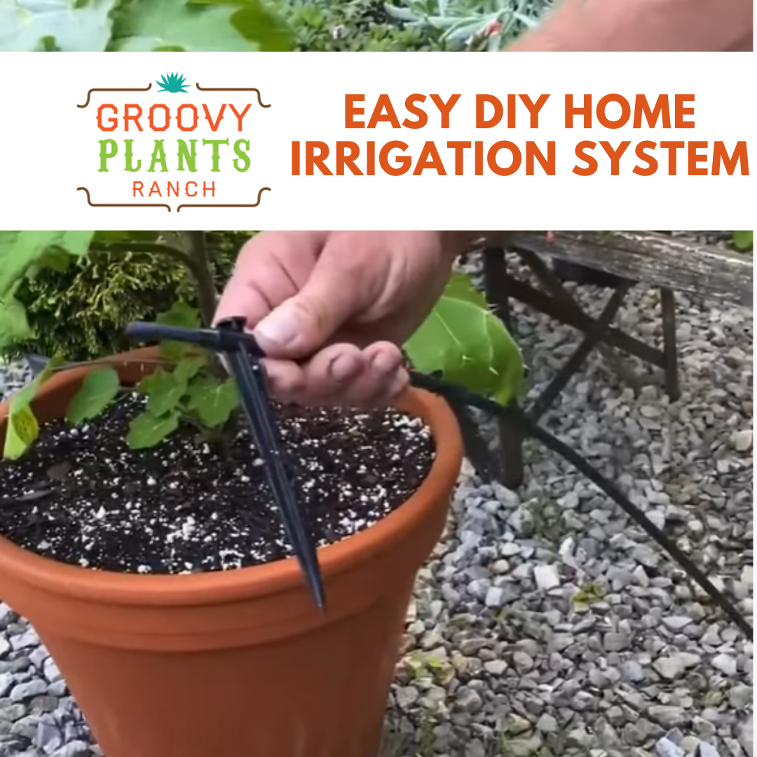 Homemade Drip Irrigation Systems