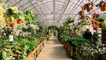 All Plants & Pottery – The Groovy Plants Ranch LLC