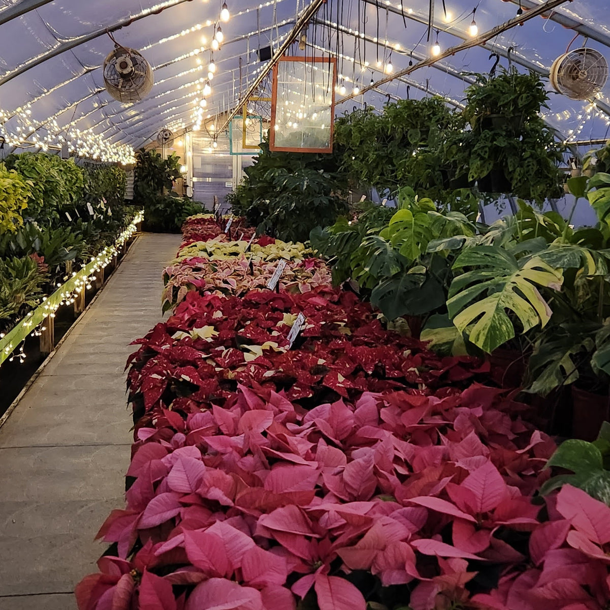 Groovy Plants Ranch - Plan Your Visit – The Groovy Plants Ranch LLC