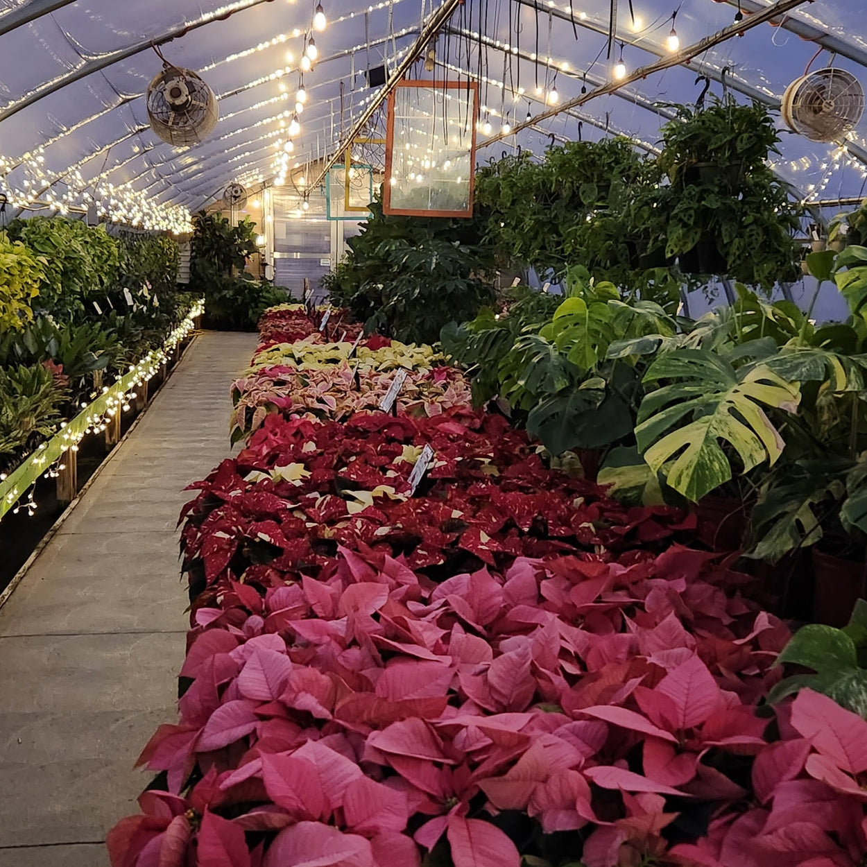 Groovy Plants Ranch - Plan Your Visit – The Groovy Plants Ranch LLC