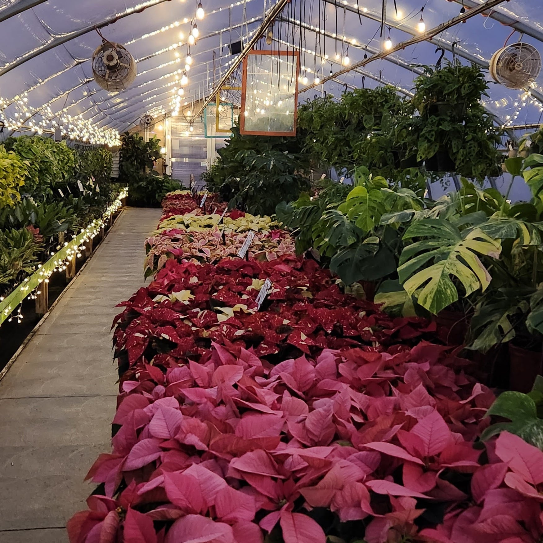 Groovy Plants Ranch - Plan Your Visit – The Groovy Plants Ranch LLC