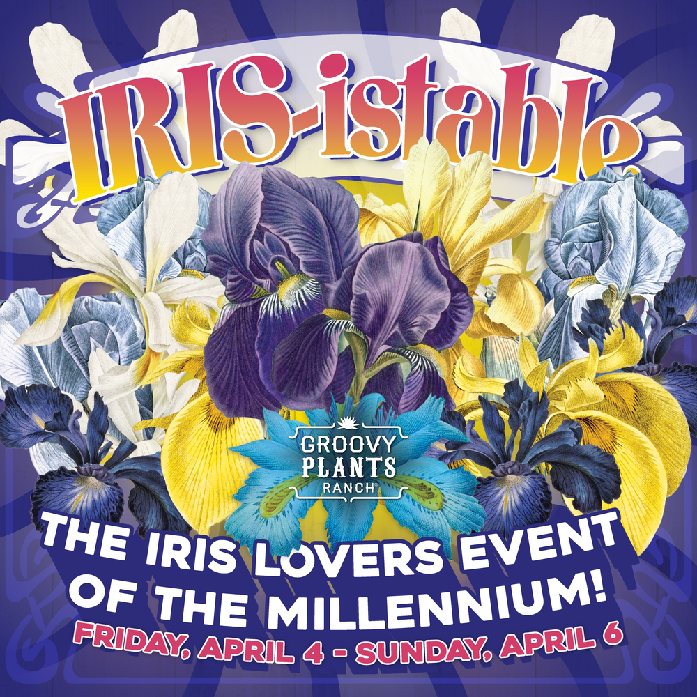 What's Happening at The Ranch? – The Groovy Plants Ranch LLC