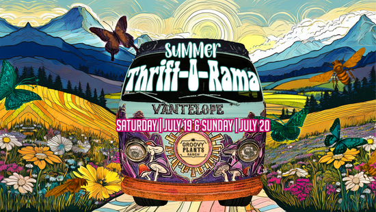 Summer Thrift -O- Rama – The Groovy Plants Ranch LLC