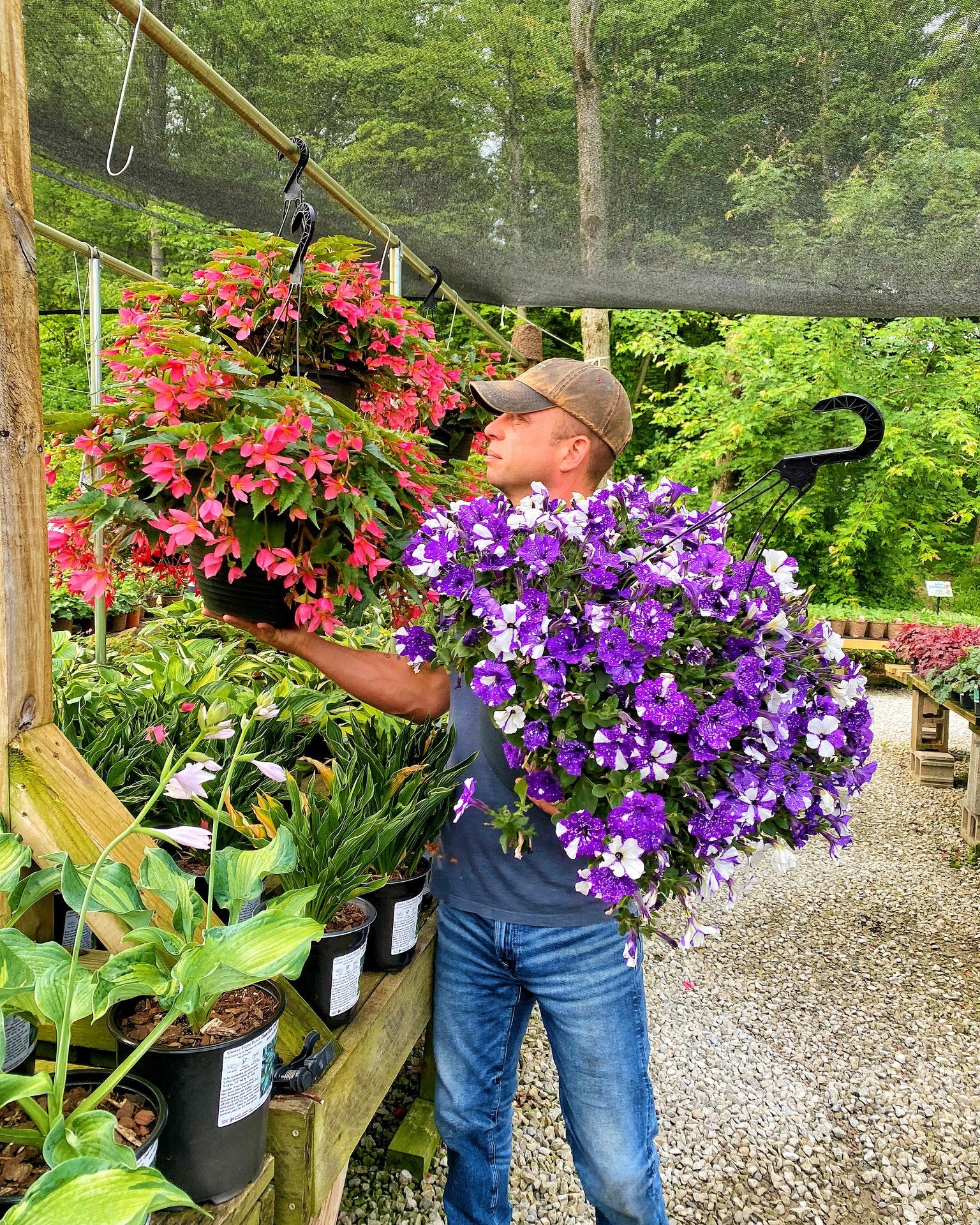 Groovy Plants Ranch – The Groovy Plants Ranch LLC