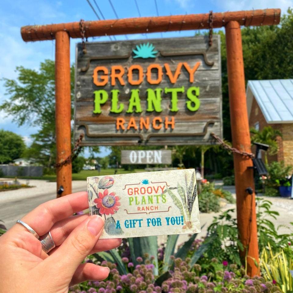 Groovy Plants Ranch – The Groovy Plants Ranch LLC