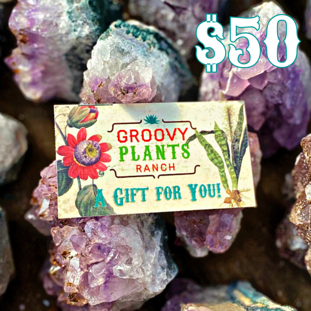 Groovy Plants Ranch - Gift Cards – The Groovy Plants Ranch LLC