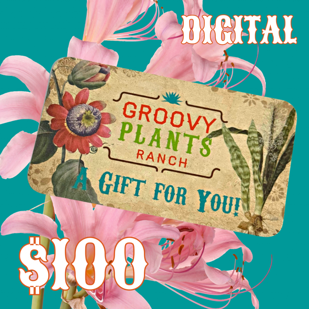 Groovy Plants Ranch - Gift Cards – The Groovy Plants Ranch LLC