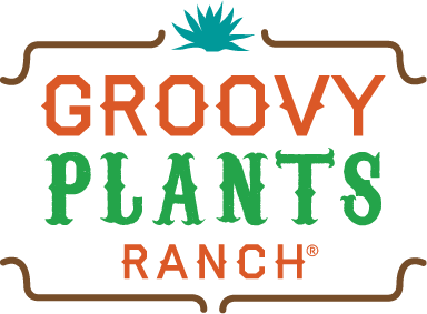 All Plants & Pottery – The Groovy Plants Ranch LLC