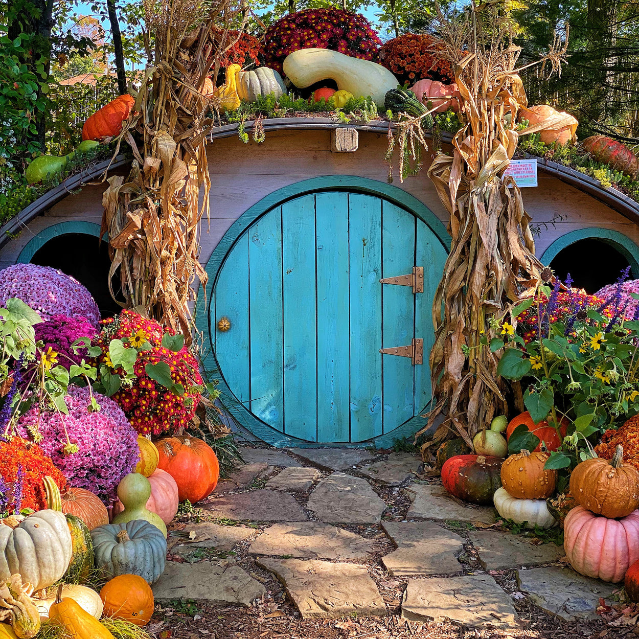 Groovy Plants Ranch - Plan Your Visit – The Groovy Plants Ranch LLC