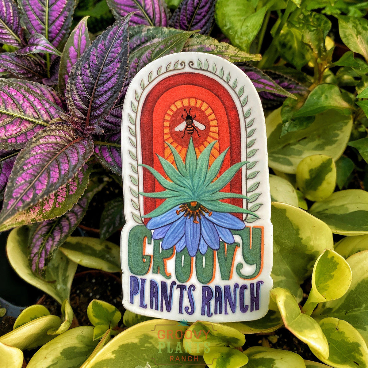 Bee & Agave GPR Sticker | The Groovy Plants Ranch LLC