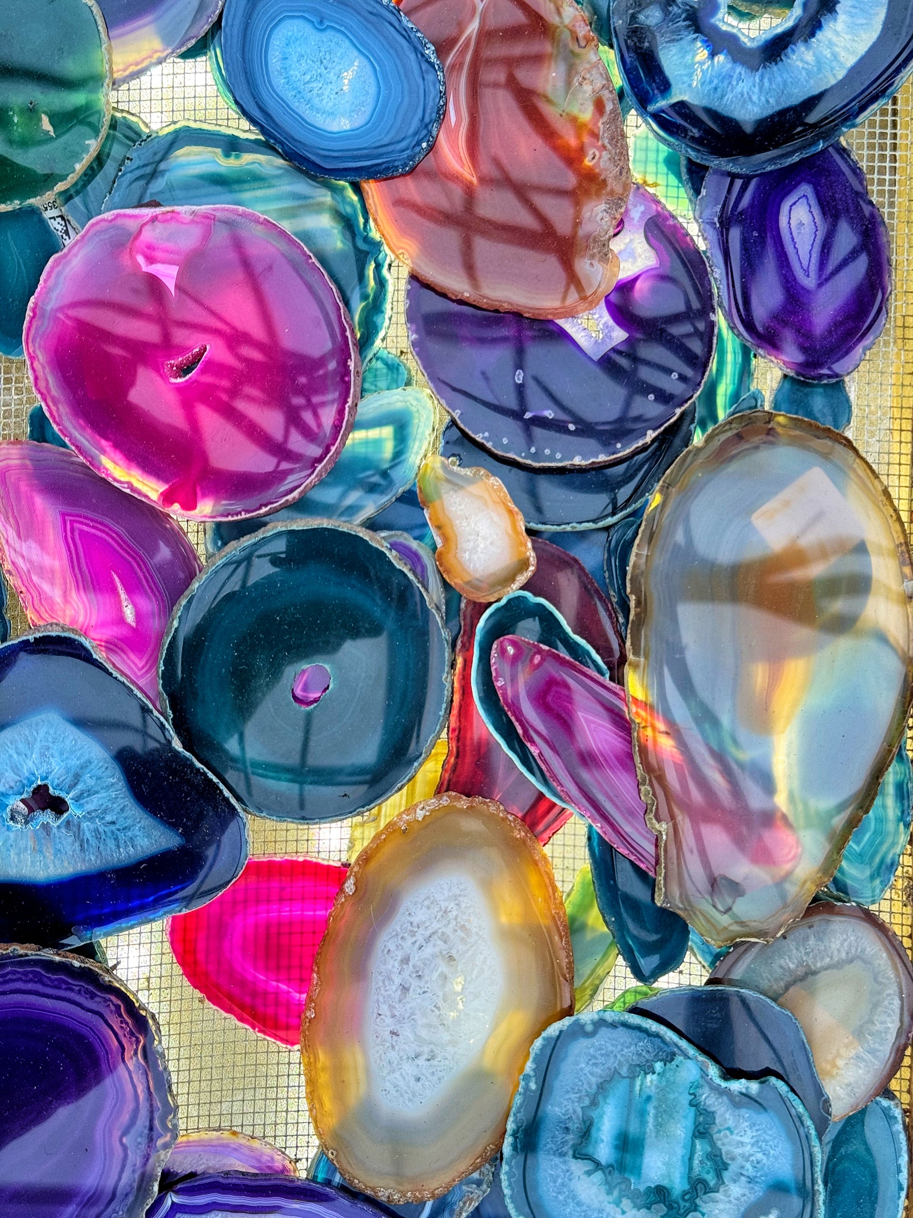 Holler Earth - Home – The Groovy Plants Ranch LLC