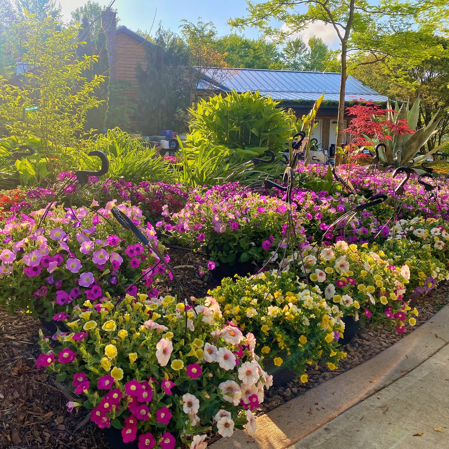 Groovy Plants Ranch - Plan Your Visit – The Groovy Plants Ranch LLC