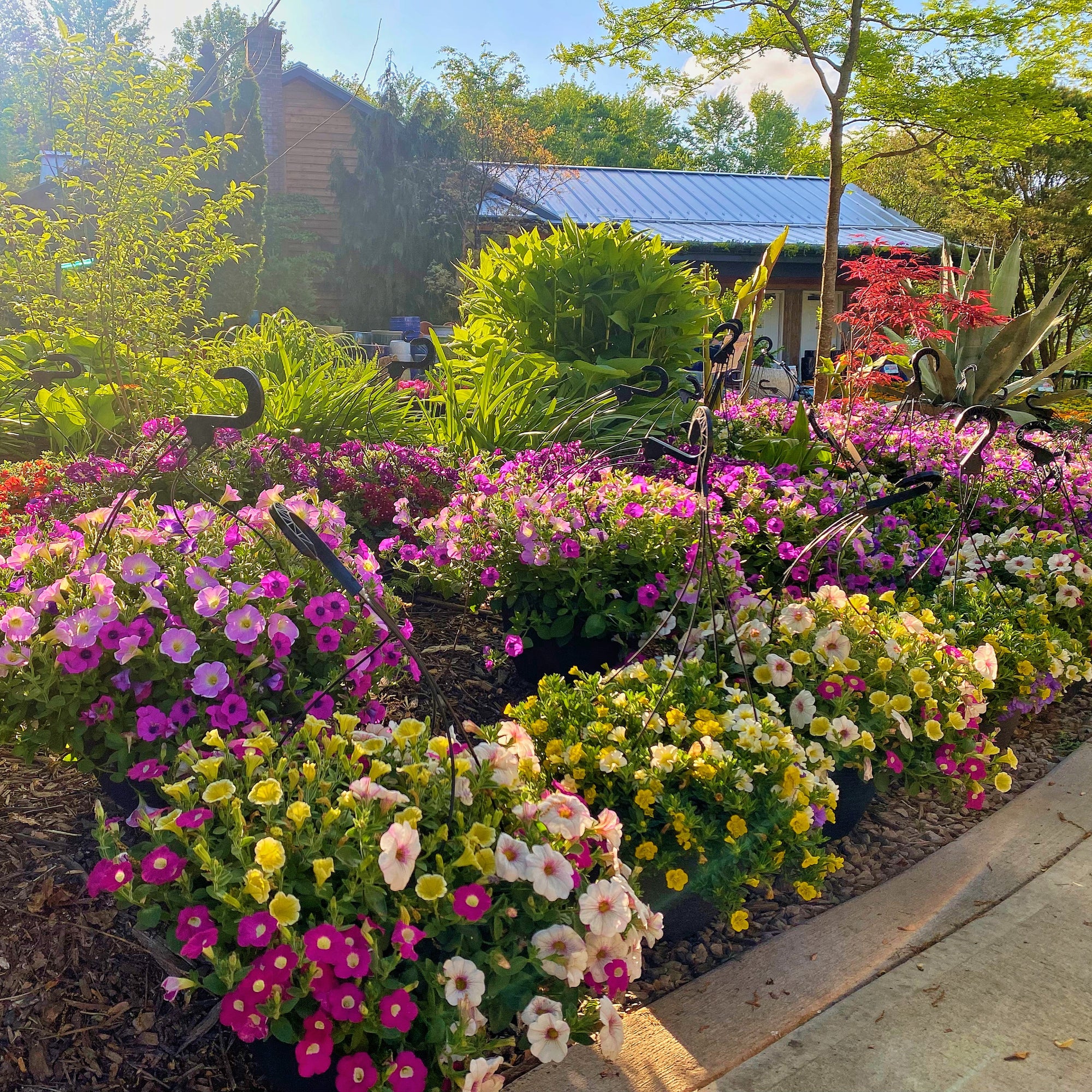 Groovy Plants Ranch - Plan Your Visit – The Groovy Plants Ranch LLC