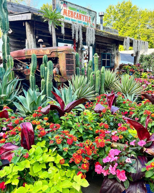 Groovy Plants Ranch - Plan Your Visit – The Groovy Plants Ranch LLC