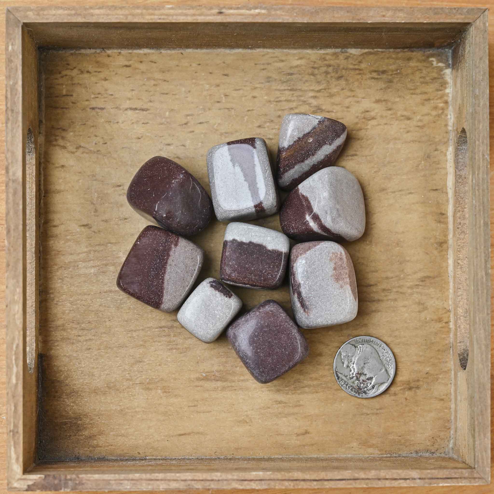 Tumbled Shiva Lingham – The Groovy Plants Ranch LLC