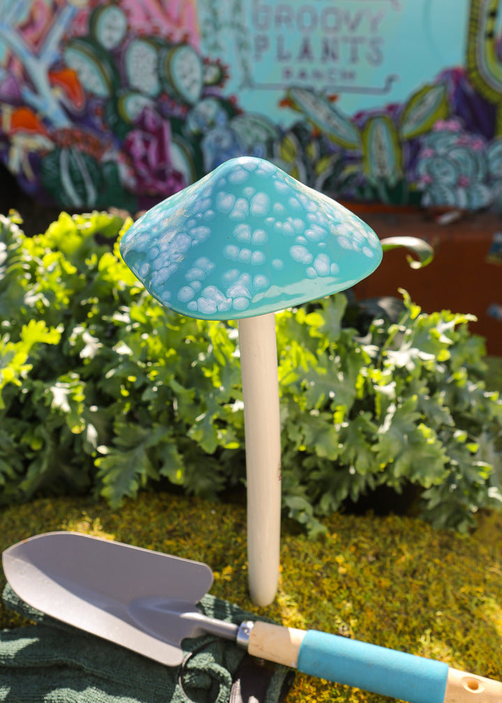 Groovy Plants Ranch - Groovy Gear – The Groovy Plants Ranch LLC