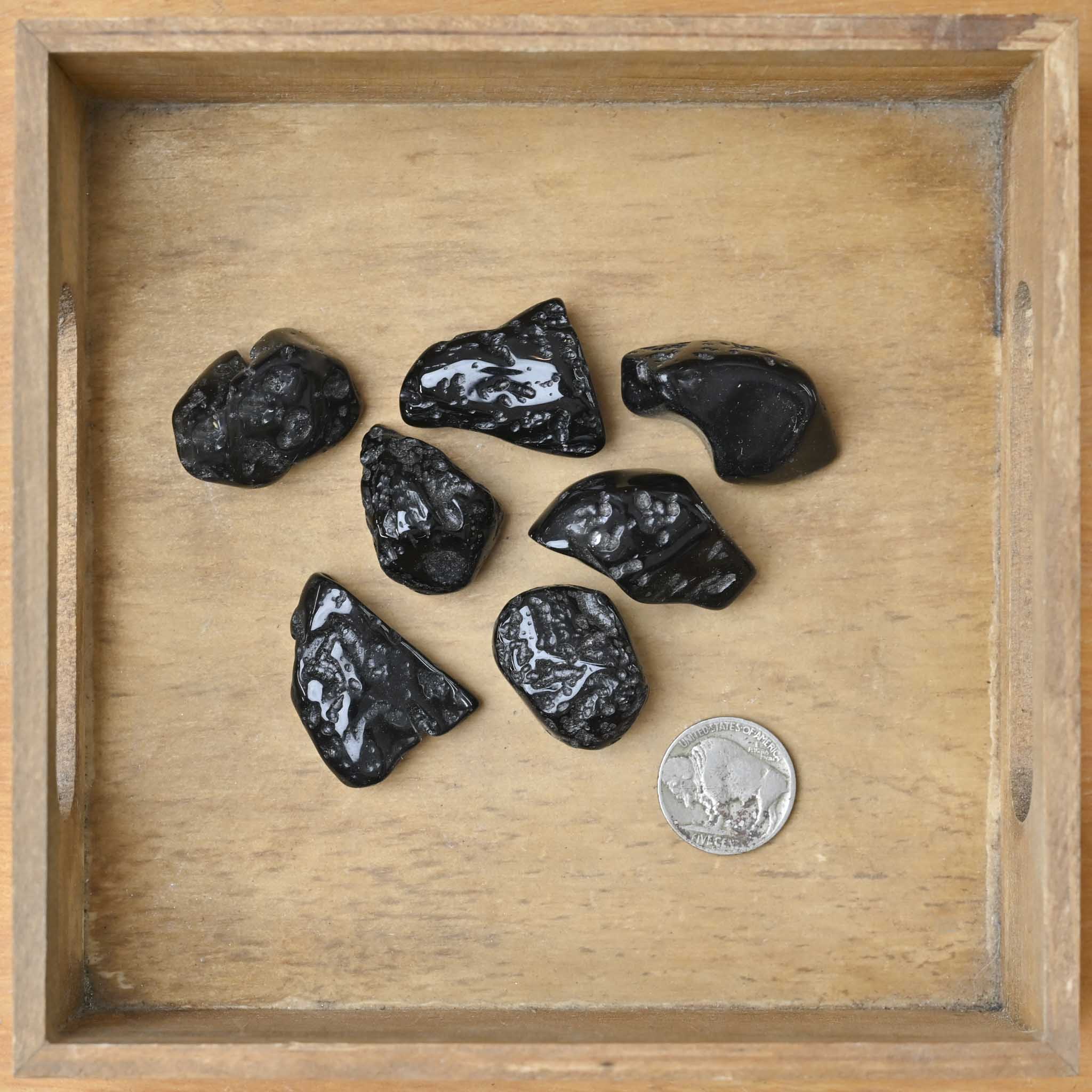 Tumbled Tektite (1 Stone) – The Groovy Plants Ranch LLC