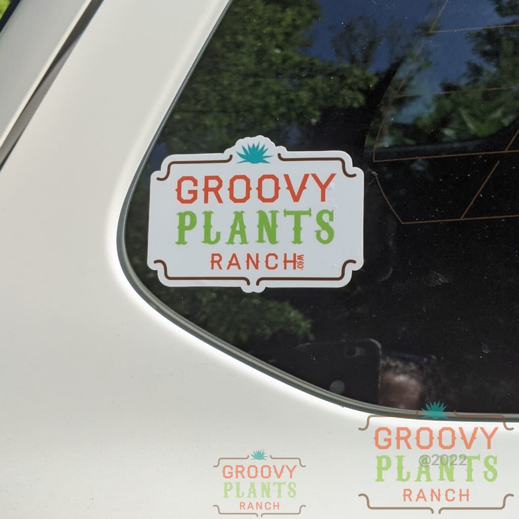 Bumper Sticker | Groovy Plants Ranch LLC | The Groovy Plants Ranch LLC