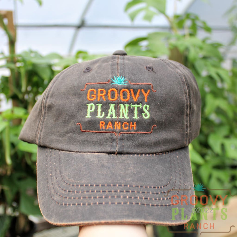 Groovy Plants Ranch - Groovy Gear – The Groovy Plants Ranch LLC